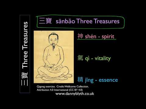 Difference between Jing and Ojas? - General Discussion - Sapien Medicine