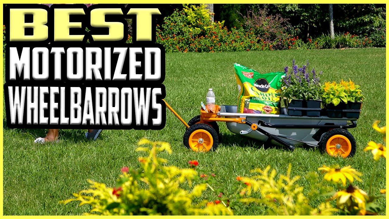 Top 5 Best Motorized wheelbarrows in 2022 reviews