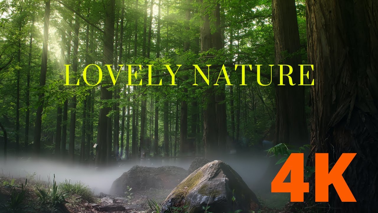 NOW  LOGIN NATURE _ GET MORE RELAX