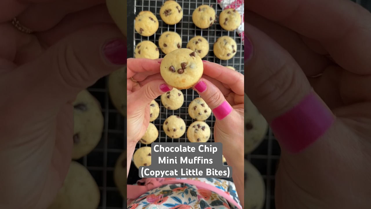 Chocolate Chip Mini Muffins (Copycat Little Bites)