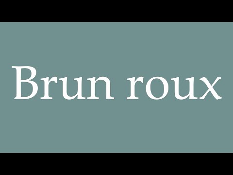 How to Pronounce ''Brun roux'' (Reddish brown) Correctly in French
