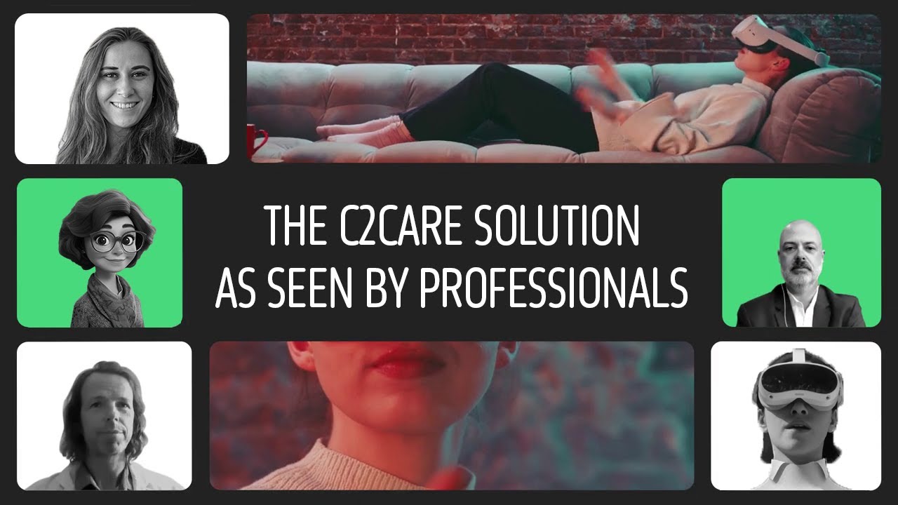 The C2Care solution as seen by professionals