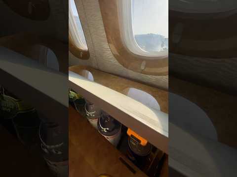 My mini bar appears #emirates #flight #travel #dubai #shorts #short #video #sky #youtube #youtuber