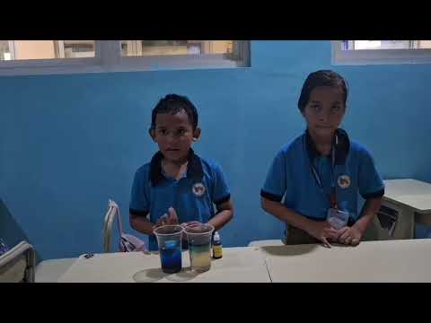Ekperimen misteri Air, Gula, dan pewarna - Kelas 3