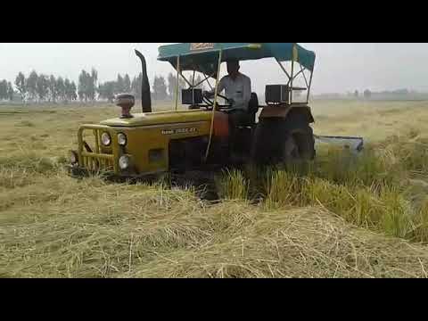 Shrub Master - Shrub Master Grass Cutter Machine Latest Price ...