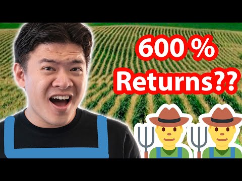 CRAZY Yield Farming (YFI) | 600% ANNUAL RETURNS??!!!