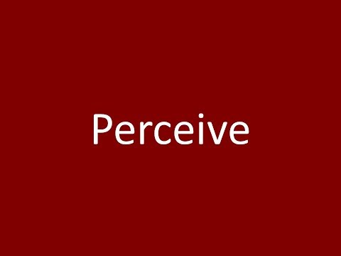 Perceive