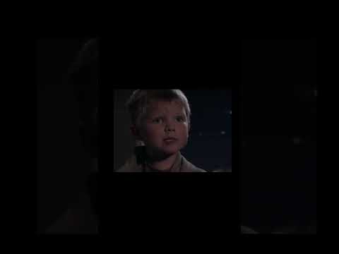 No Words Needed #shorts #furrys #starwars #younglings #funny #memes