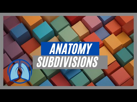 Subdivisions of Anatomy