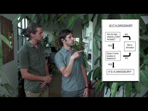 What is a Dinosaur?