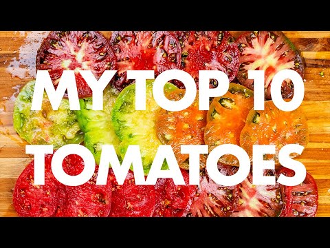 My Favorite Heirloom Tomatoes