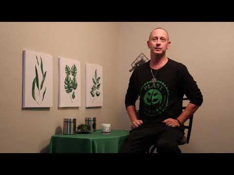 Host Defense Lions Mane Mycelium Powder Product Review