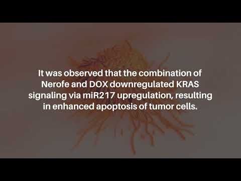 Turning Immunosuppressive Tumors to Immunostimulatory: Nerofe and Doxorubicin's Impact | Oncotarget