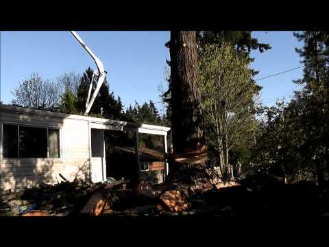 Fir log, Langford BC