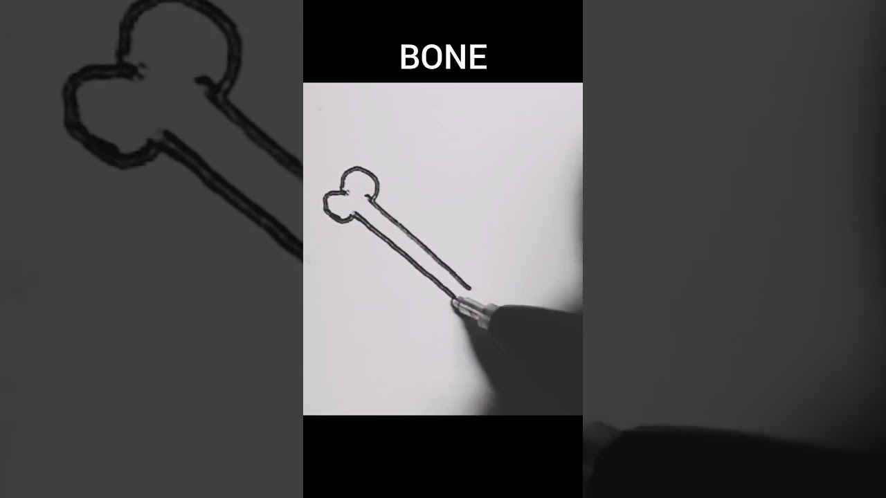 drawing bone simple #howtodraw #drawing #simpledrawing #bone #bones