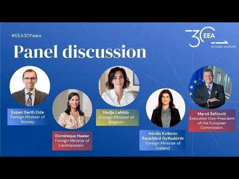 Panel discussion 3 - EEA 30-Year Anniversary Conference 28 May 2024