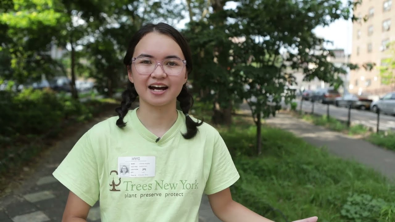 Young Urban Forester Program - Summer 2021