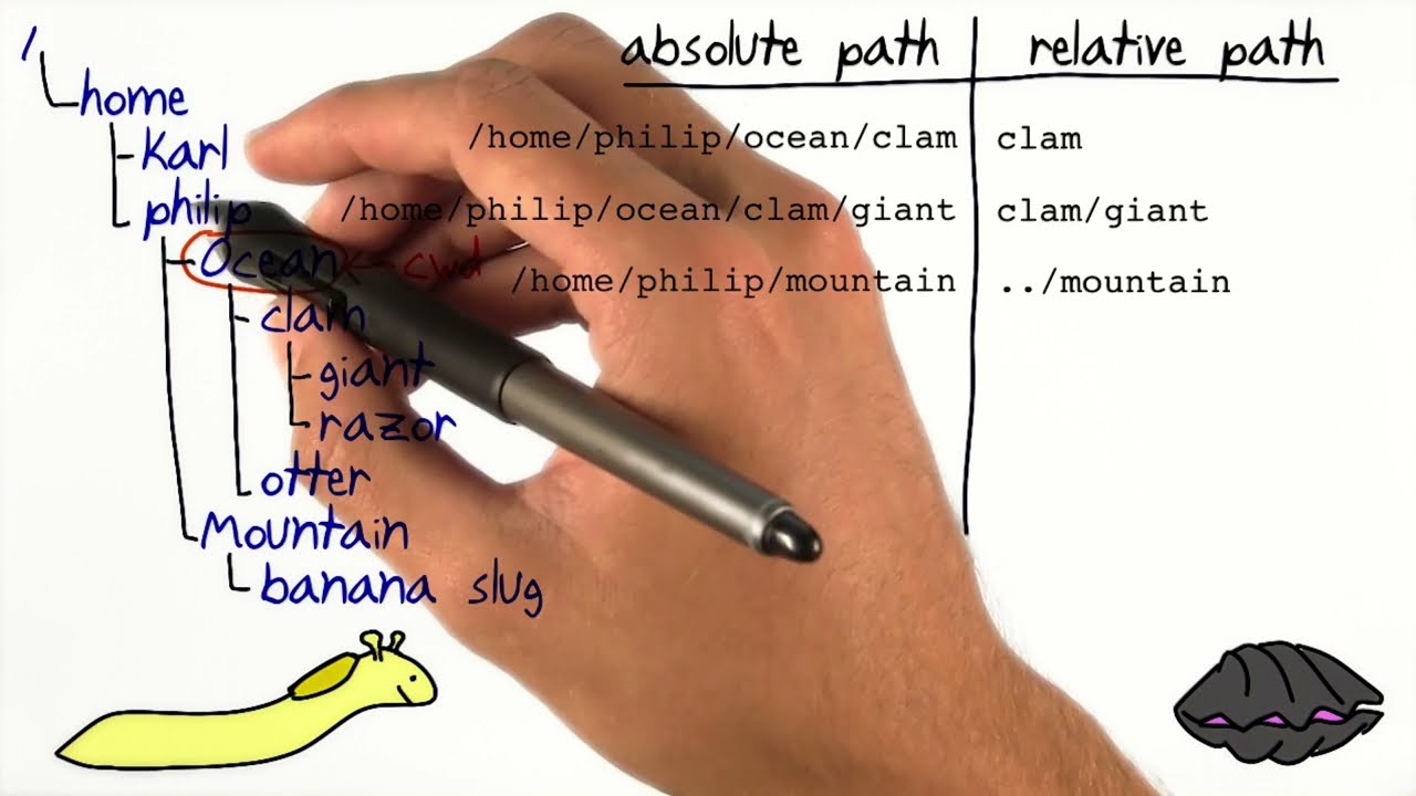Absolute and Relative Paths