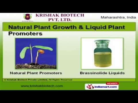 Plant Growth Promoters at Best Price in India