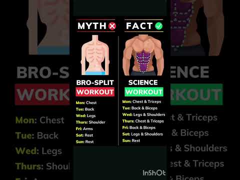 How to do GYM Workout ? #shorts #health #gym #fitness