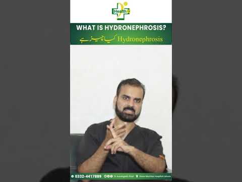 What is Hydronephrosis? - How Does Hydronephrosis Affect On the Kidney? By Dr. Aurangzeb Afzal