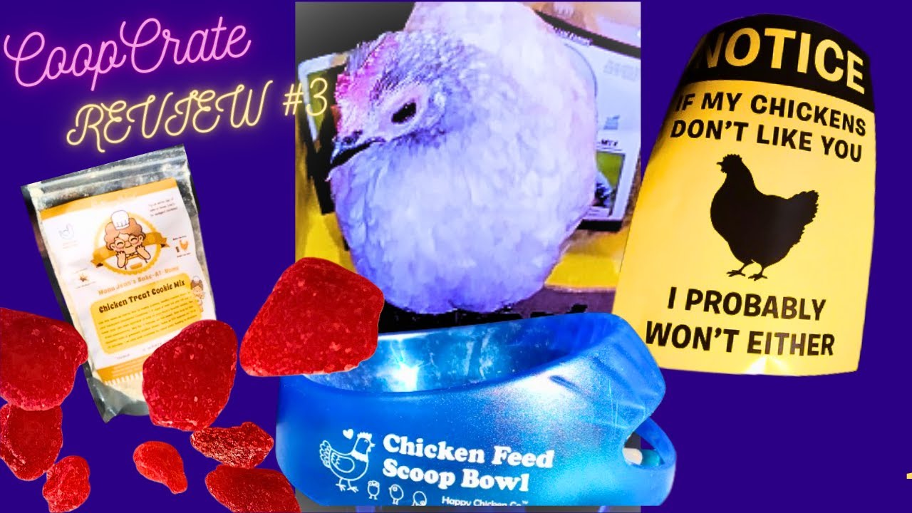Chicken Reviews CoopCrate Subscription Box 3