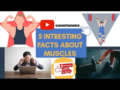 5 INTERESTING FACTS ABOUT MUSCLES
