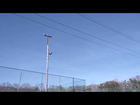 VID 20221205 131118093