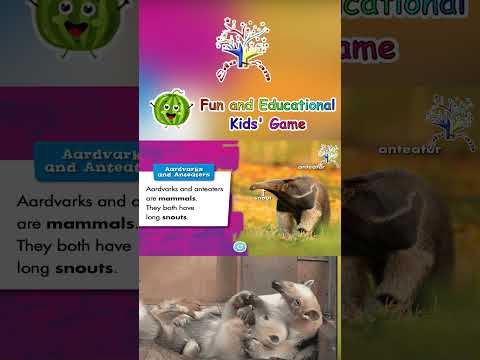 The Animals || Learn About Anteater || ABCD || Learn to Read || Kids Nursery Rhymes || EduFam