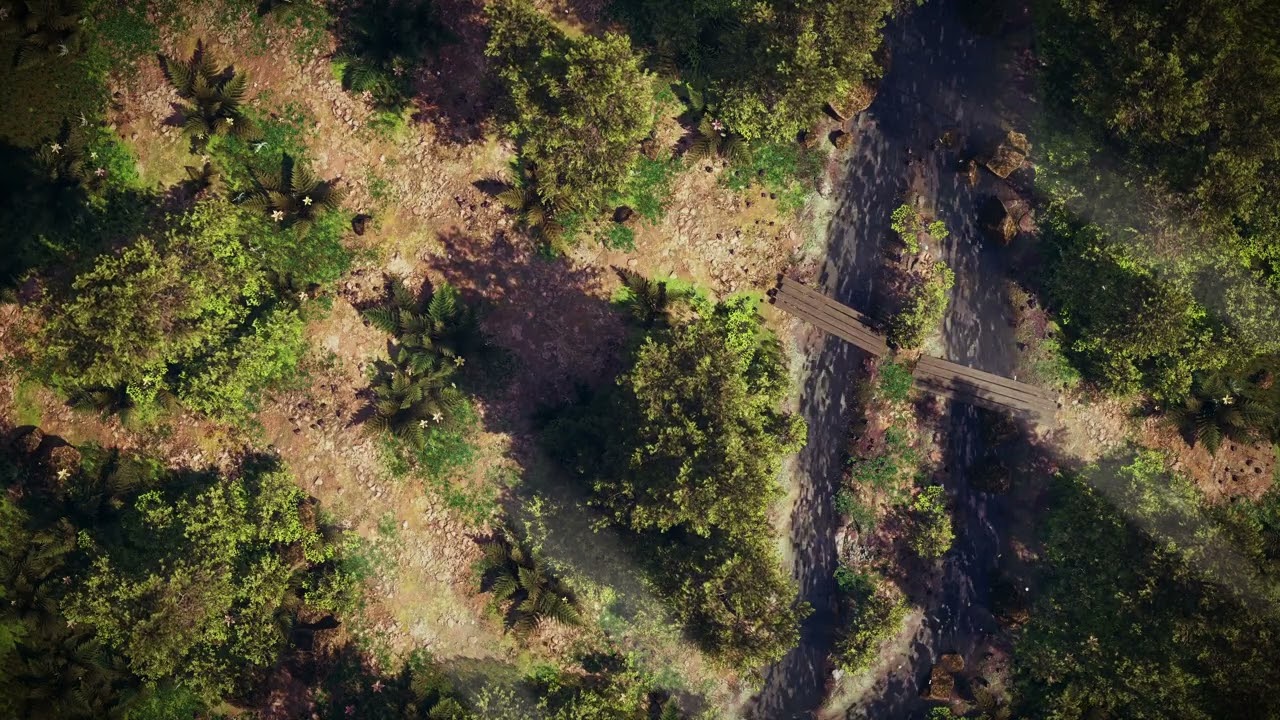 D&D - Animated Battle Map - Random Forest Encounter UE5