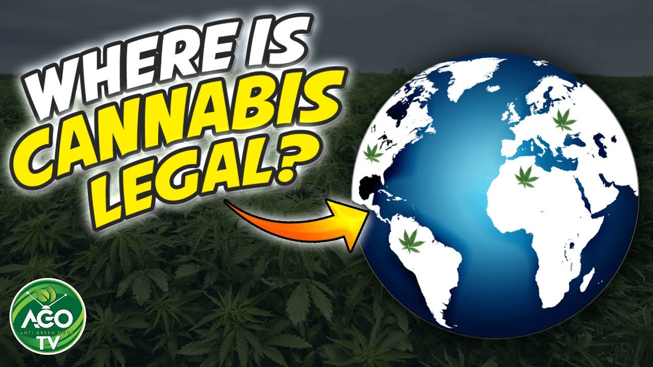 Where is Cannabis Legal? | Top Countries where Weed is Legal | How Marijuana Is Legal