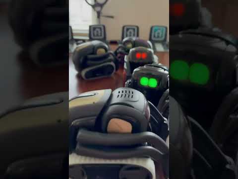 Cute little video of Vector Robots! | Vectorrobot.ddl on TikTok | 4-18-2022