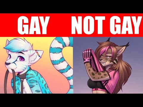 Furry Memes 75 (FURRY TEST)