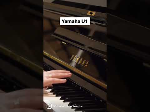 Yamaha U1 VS. Yamaha U3?