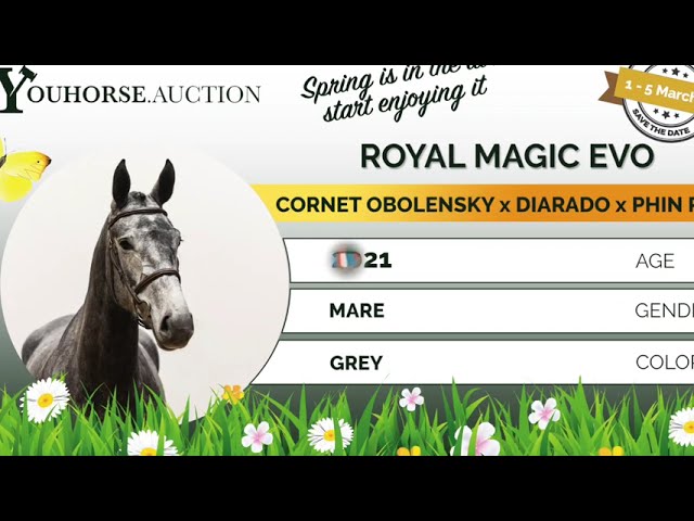 Youhorse.auction | Royal Magic