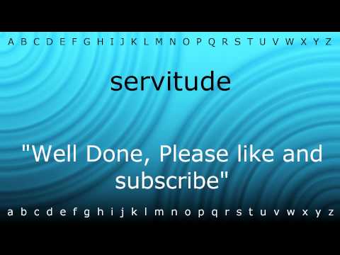 How to say 'servitude' with Zira.mp4