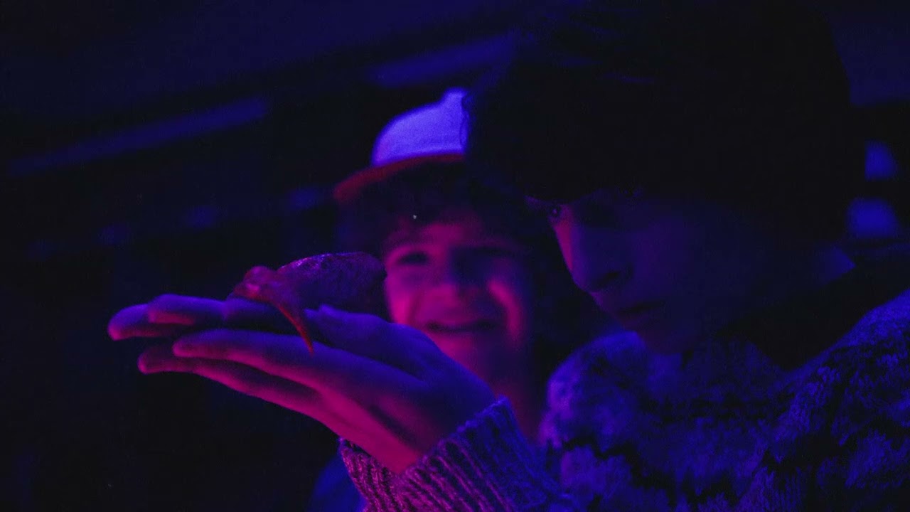 dart. ambient synthwave