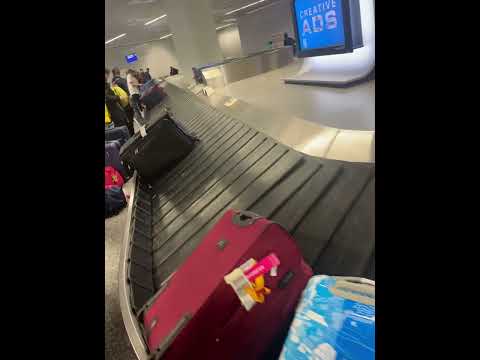 How to collect bags at airports #germany #2numberi #frankfurt #haryana #delhi #hannover #indian