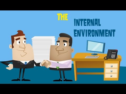 The internal environment of the business environment (part 4 The Business Environment)