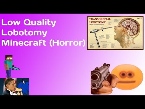 Steam Community :: Video :: Low Quality Lobotomy (Minecraft Horror Modpack)