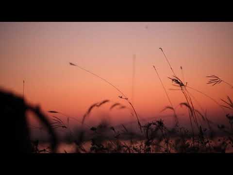 Sleep Music For Good Dreams || Stress Free Mind || Sunset