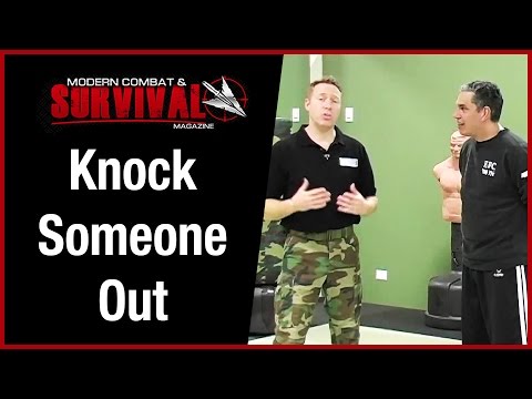 Use The Hammer Fist Self Defense Method For A Single Punch Knockout ...