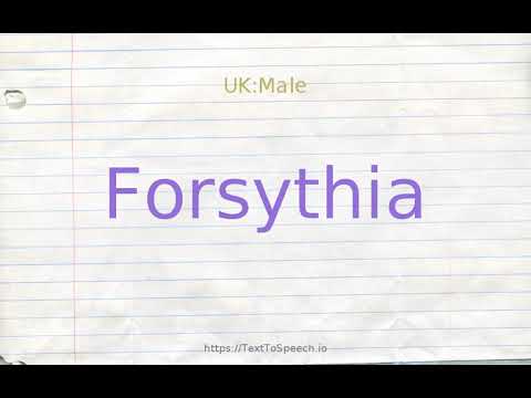 How to pronounce forsythia