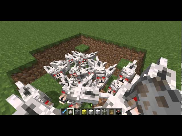 Top 5 things you probably didn't know about wolves in Minecraft