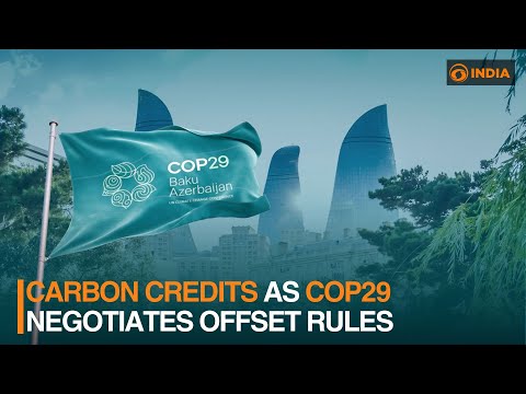 Carbon credits as COP29 negotiates offset rules | DD India