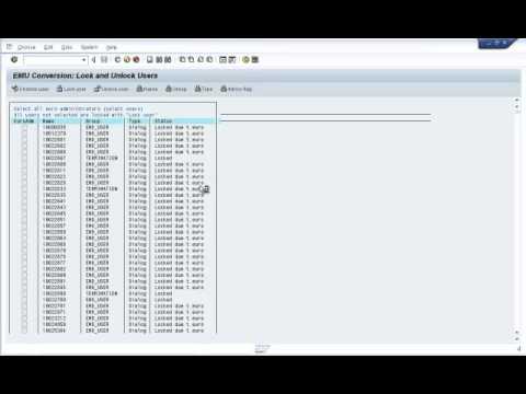 Mass User Locks/Unlock – Tcode EWZ5 | ultimatesapsecurity