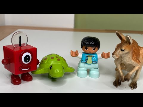Animals in Spanish - Kangaroo & turtle