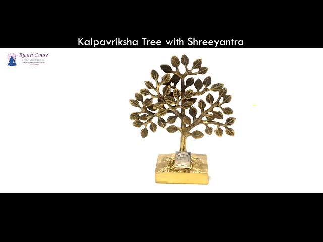 Kalpavriksha Tree with Shreeyantra - Rudraksha Ratna