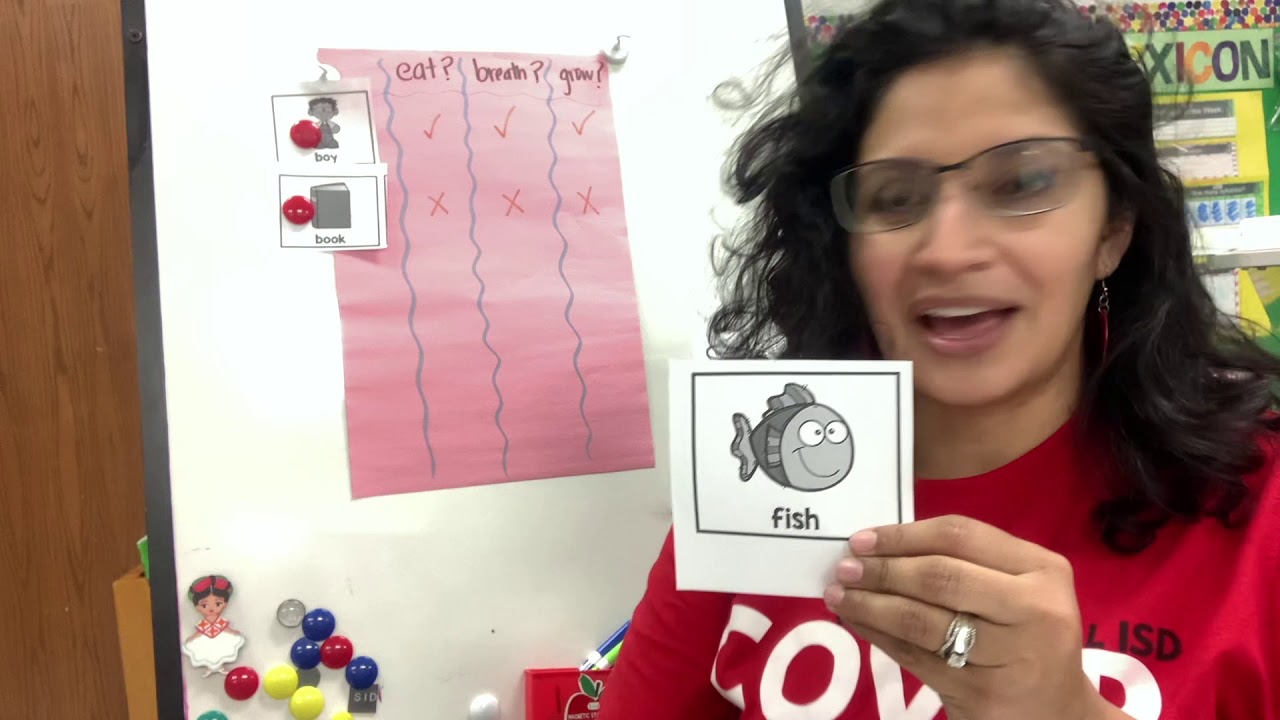 Science Anchor Chart