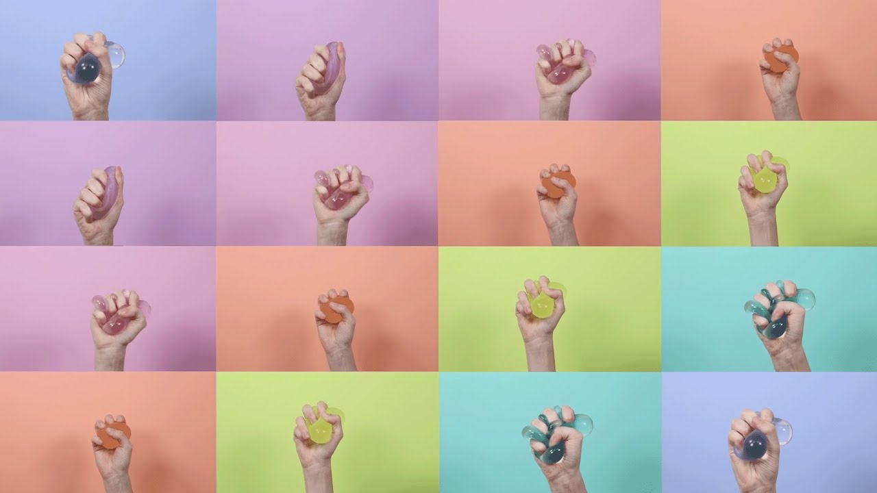 Meet Gump. All Three Sizes.